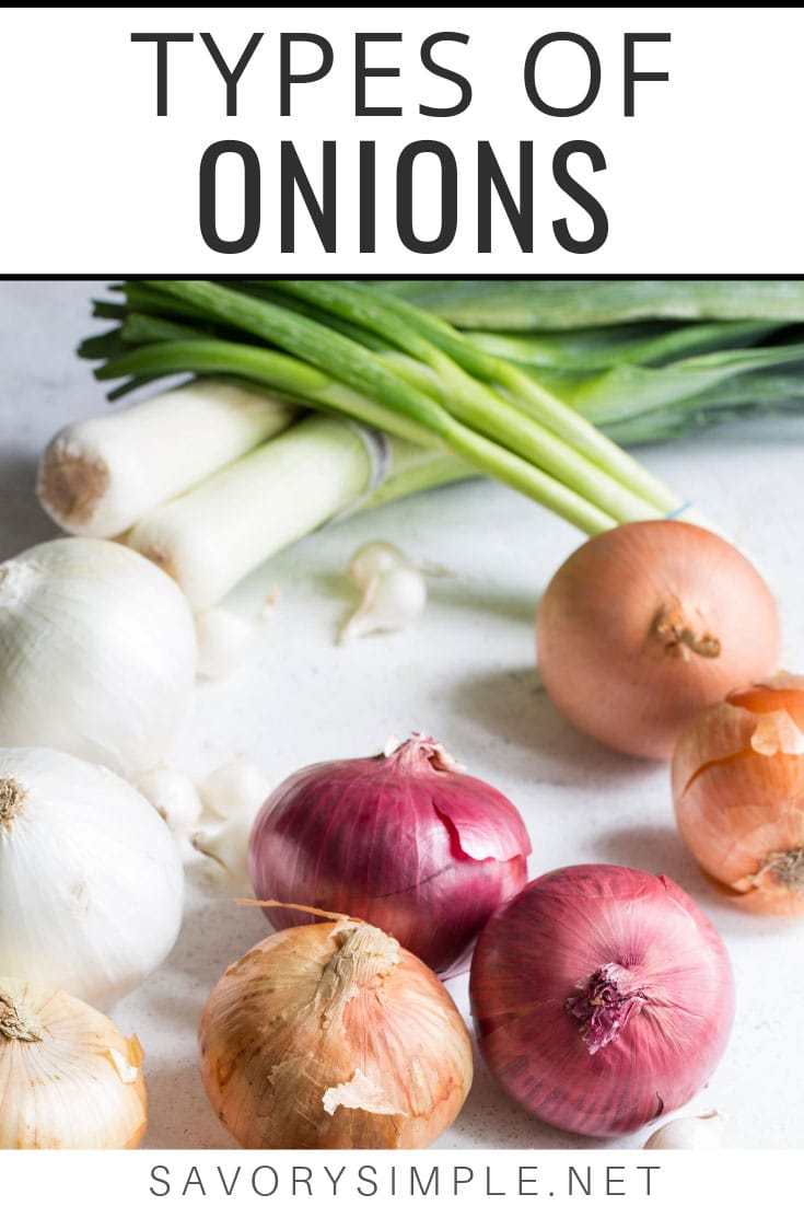Types of Onions (And How to Use Them)- Savory Simple